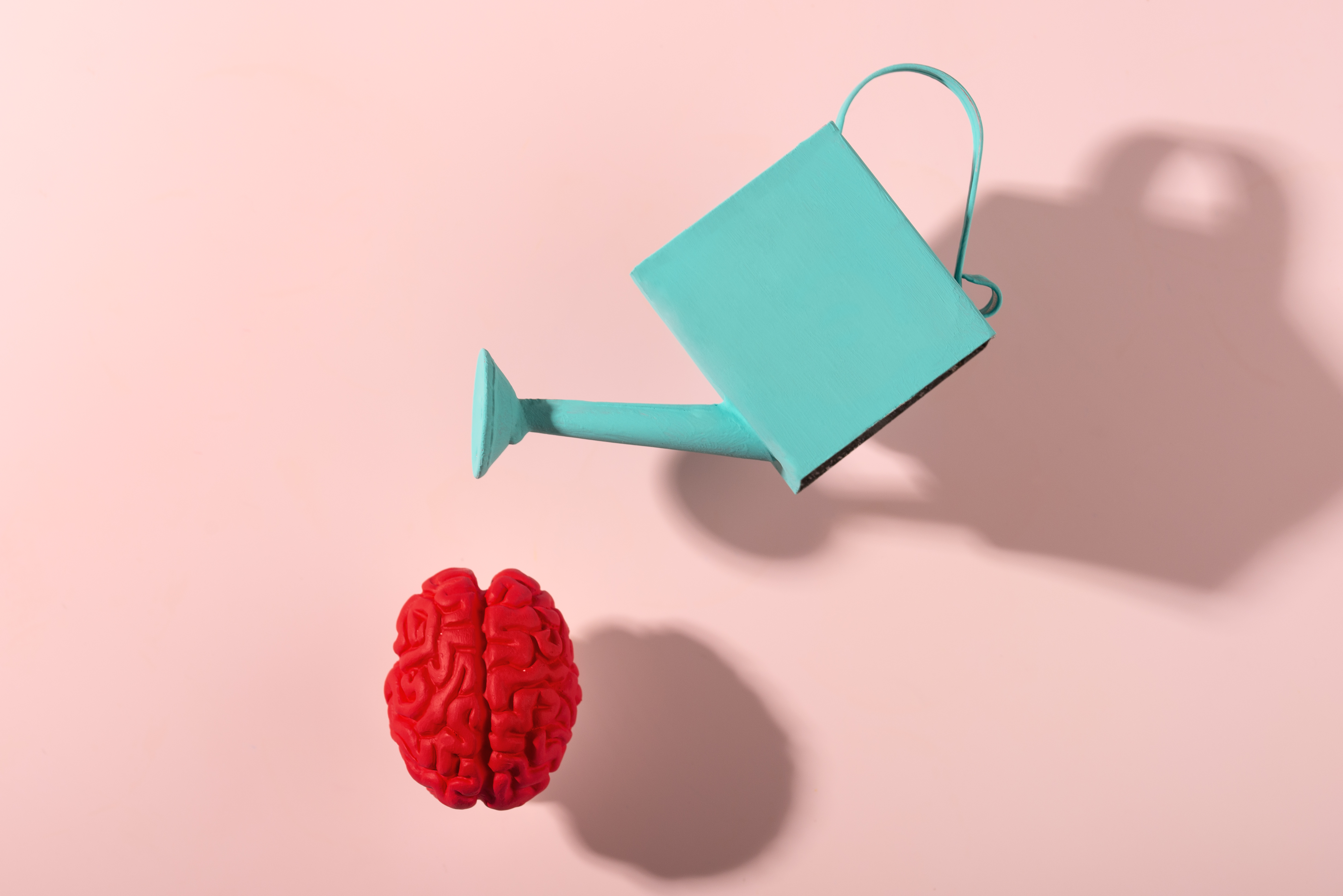 Making the Most of Who You Are and What You Have – Curious and Creative